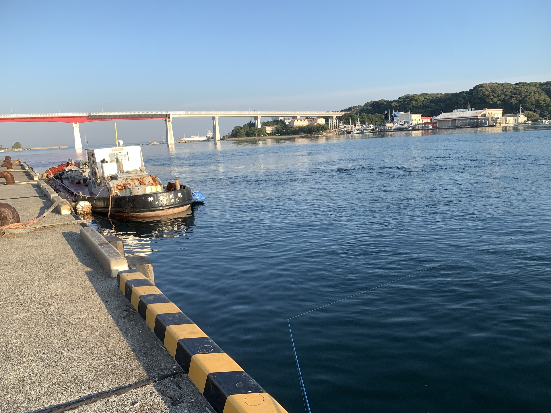 2025年9月8日（月）釣行記（三崎港→暁ふ頭）: やまたけ釣行日記2