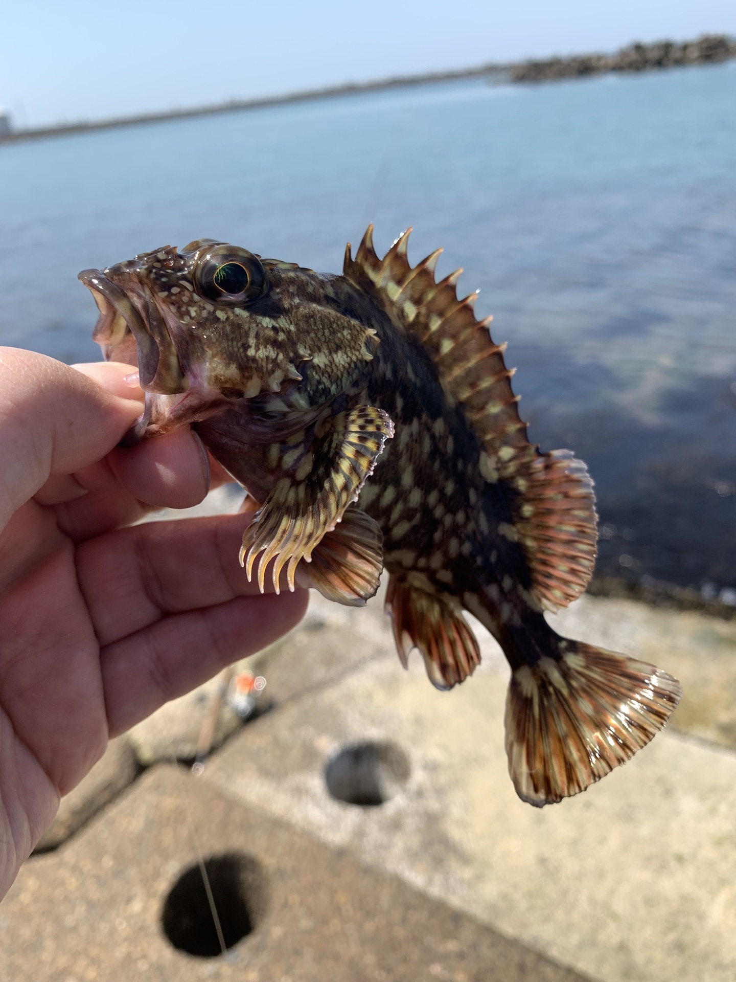 2023年5月3日（水）～4日（木）釣行記（上越）: やまたけ釣行日記2