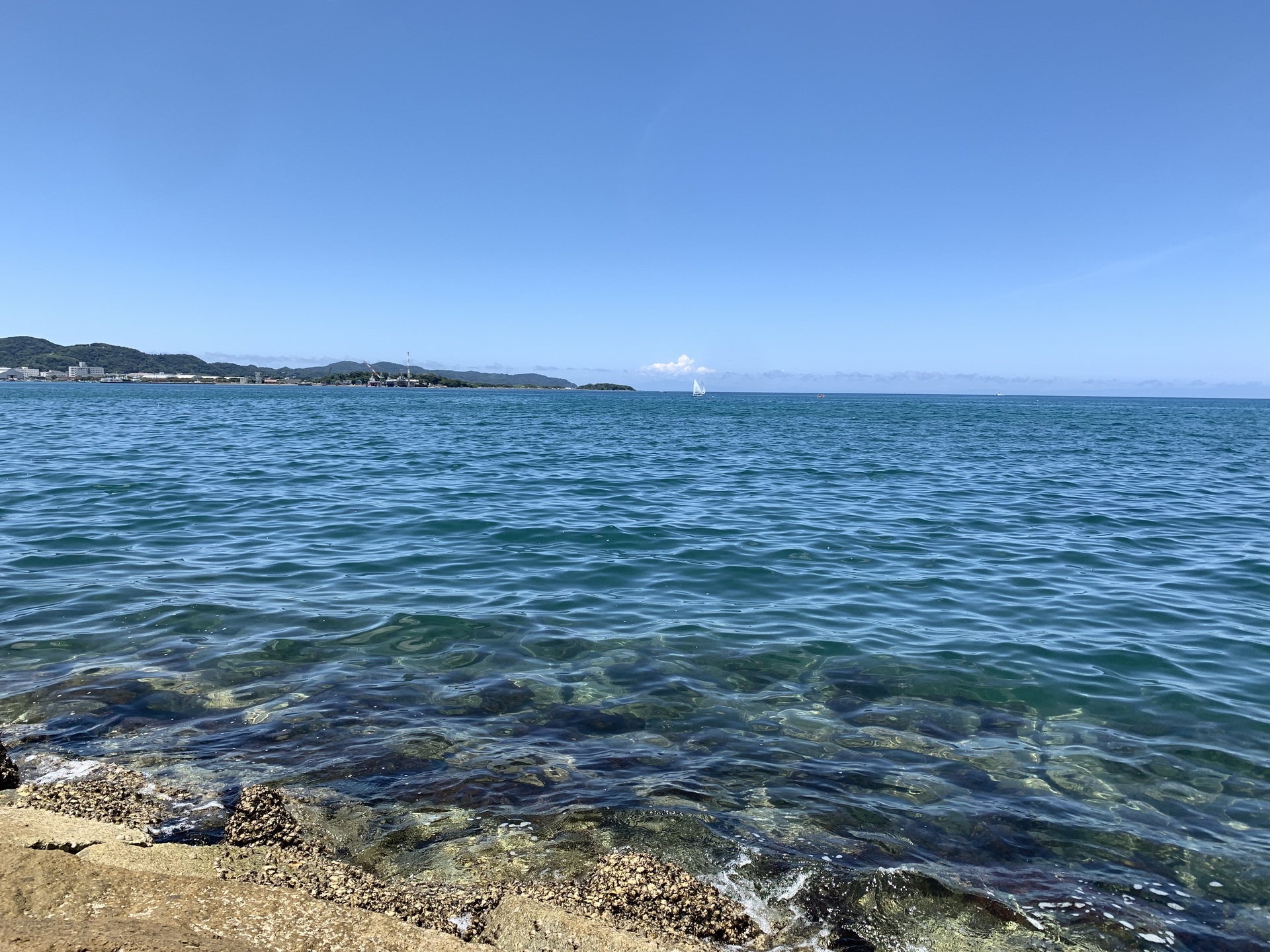 2023年7月24日（月）釣行記（館山～保田）: やまたけ釣行日記2