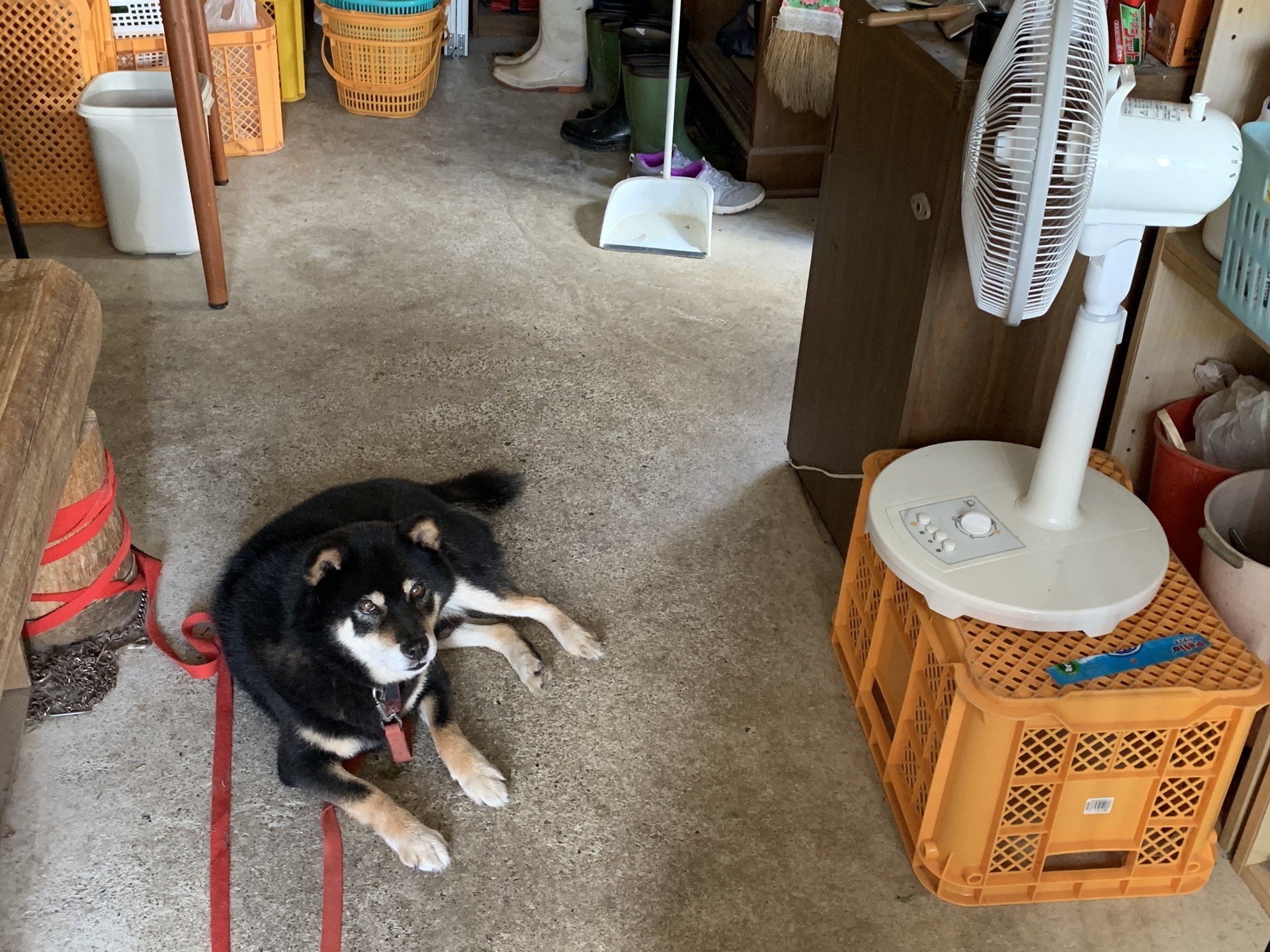 2023年8月16日（水）釣行記（山口県長門市）: やまたけ釣行日記2