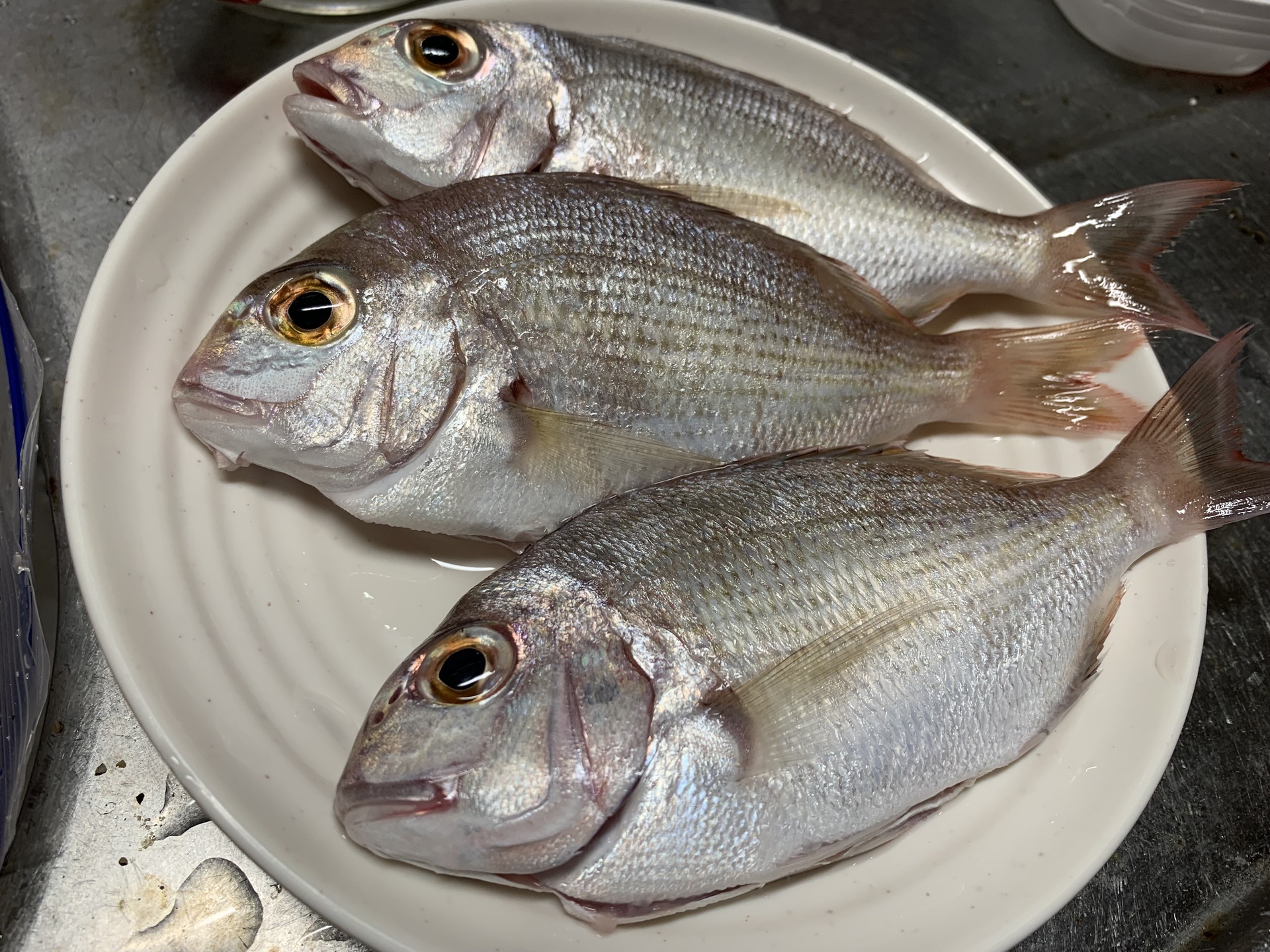 やまたけ釣行日記2