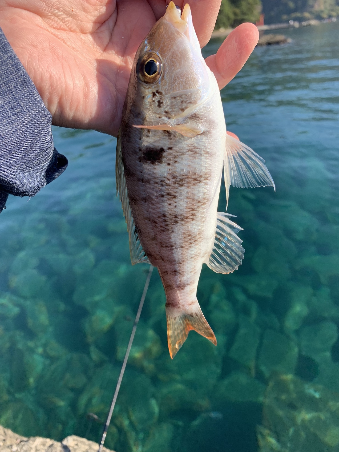 2023年11月3日（金）釣行記（西伊豆）: やまたけ釣行日記2