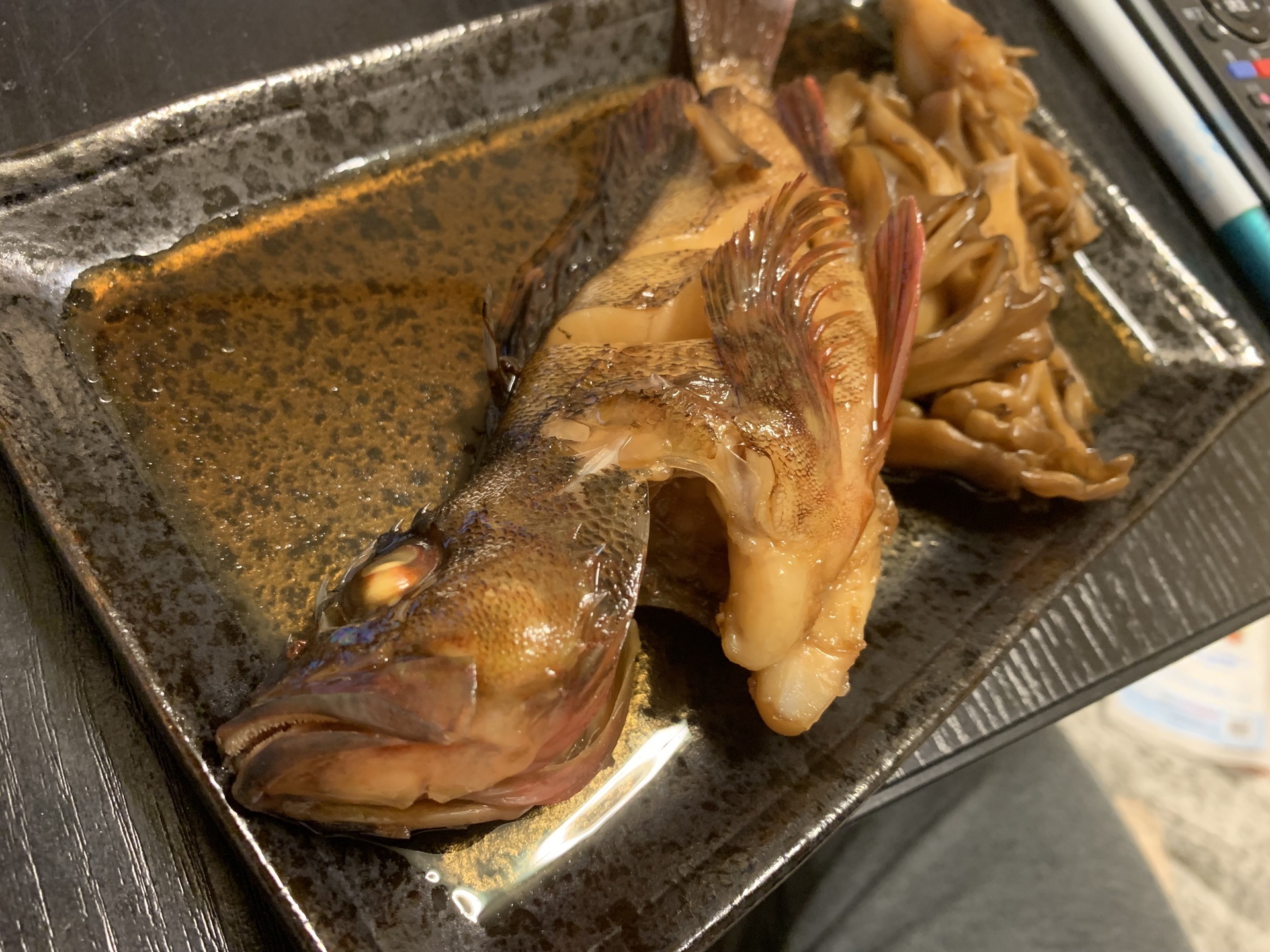 2023年11月27日（月）釣行記（横浜某海岸）: やまたけ釣行日記2